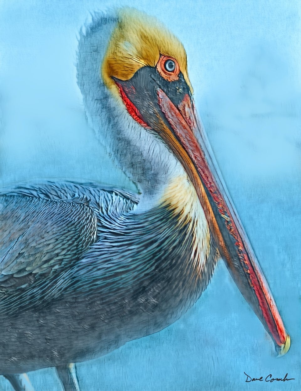 Blue Pelican | Dave Combs Gallery